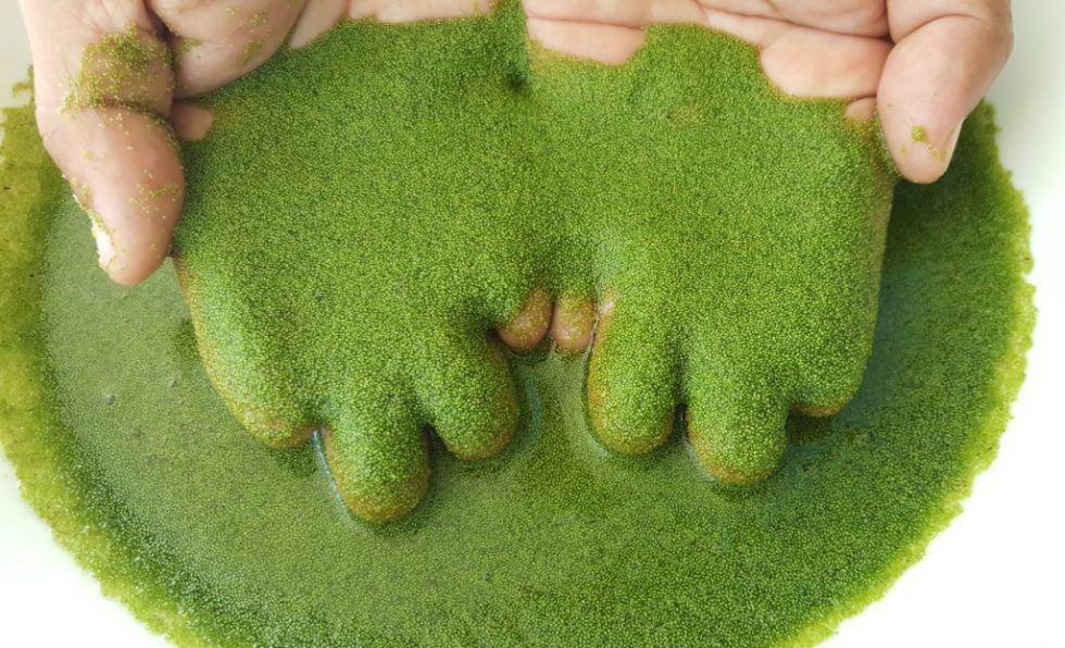 Phenomenon for the Next Generation Science Standards (NGSS) – 4-ESS3-1 ...